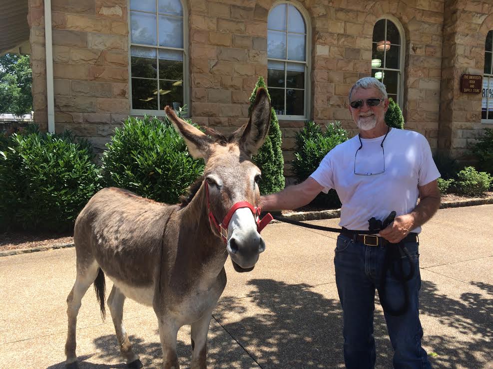 From rags to riches: A donkey’s journey to the promised land